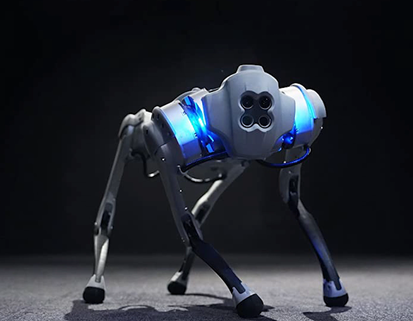 Robot Dog (R-Dog) - Reference